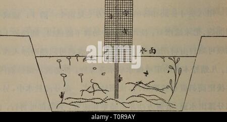 dong zhi wu yan jiu Stock Photo - Alamy