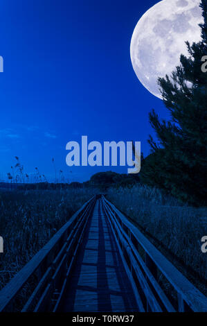 Wooden footbridge at night with supermoon Stock Photo - Alamy