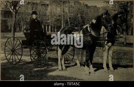 . Dr. David Roberts and his Arabian Team Stock Photo - Alamy