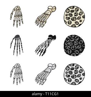 foot,fiber,ankle,healthy,scientific,podiatry,muscle,forefoot,epithelium ...