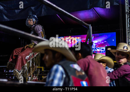 latin bull riders before riding in Guatemalan rodeo Stock Photo - Alamy