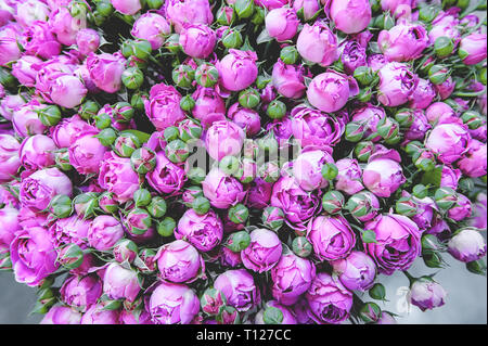 Exotic roses from lilac elite modern varieties in the bouquet as a gift ...