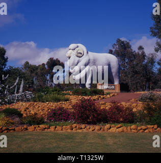The Big Ram, Wagin Western Australia Stock Photo - Alamy
