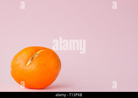 A set of rotten moldy oranges, tangerines isolated on white background ...