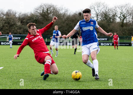 Penybont beat Briton Ferry & Llansawel 2-0 in Welsh Football League ...