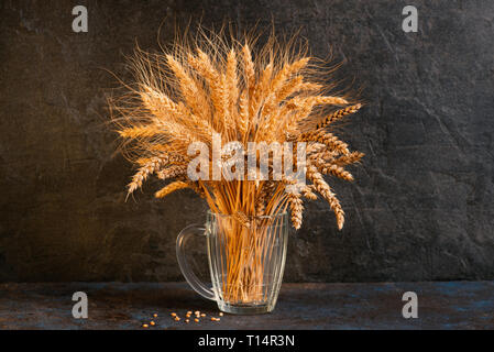 Cereals ears on the black textured background, sunny composition, copy ...