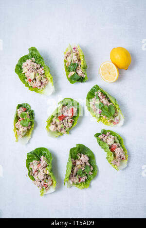 Tuna wraps with avocado tomato and mayonnaise Stock Photo - Alamy