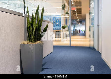 Cubicles inside an office space Stock Photo - Alamy