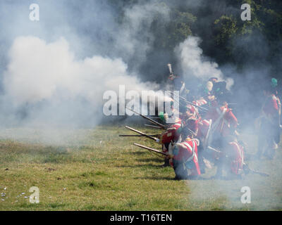British musket fire, 1815, soldiers as deployed at the Battle of ...