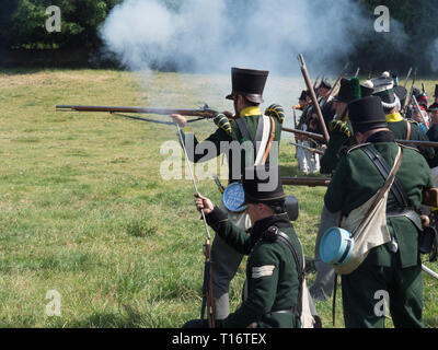 British musket fire, 1815, soldiers as deployed at the Battle of ...