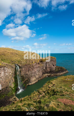 Crawton Waterfall at RSPB Fowlsheugh Reserve, south of Stonehaven ...