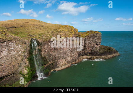 Crawton Waterfall at RSPB Fowlsheugh Reserve, south of Stonehaven ...