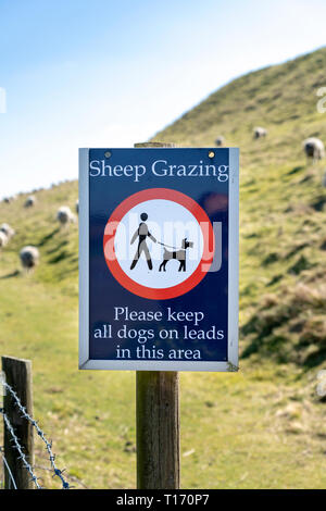 Sheep Grazing warning notice on a gate at Loughrigg Fell near the Lake ...