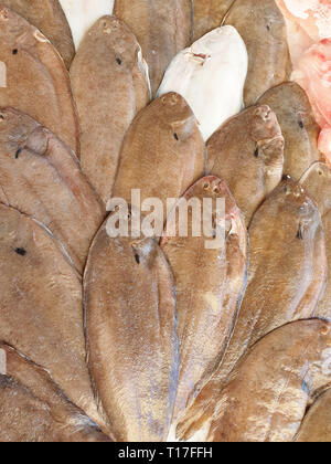 Closeup of many fresh sole fish fillets pink meat raw scales skin in ...