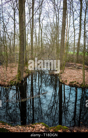 Beautiful ditch in the Netherlands, province Friesland, region ...