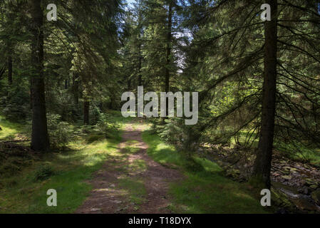 Footpath in Snake Woodlands beside Snake Pass near Glossop, Derbyshire ...