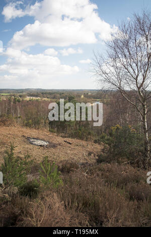 View over the Avon Valley from Matchams Viewpoint Avon Heath Country ...