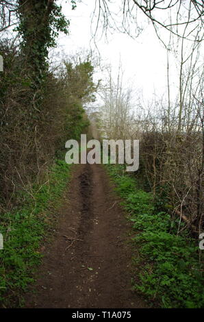 Broadwell. The Donnington Way. Gloucestershire. Cotswolds. England. UK ...