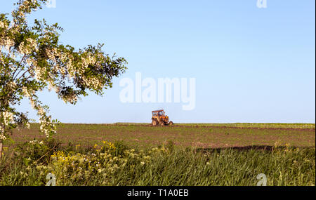 Old-fashioned tractor sowing crops at field Stock Photo - Alamy