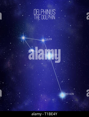 Dolphin, Delphinus Constellation Stock Photo - Alamy