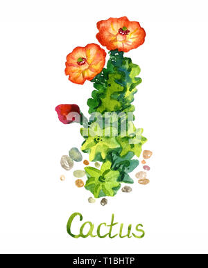 Succulents floral botanical flowers. Wild spring leaf wildflower ...