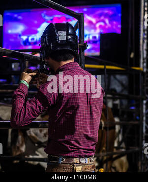latin bull riders getting ready before Guatemalan rodeo Stock Photo - Alamy