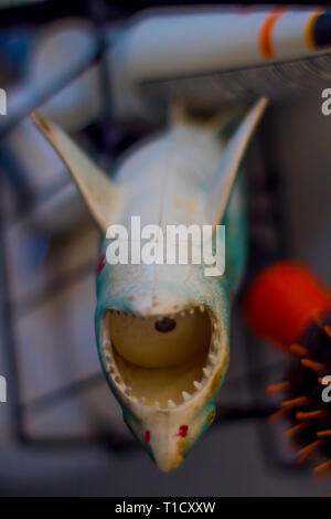 Squeaky Shark toy Stock Photo - Alamy