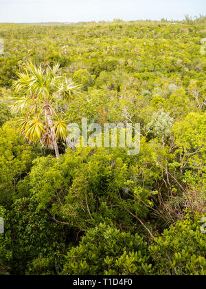 Aerial View of Leon Levy Native Plant Preserve, Governors Harbour ...