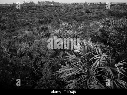 Aerial View of Leon Levy Native Plant Preserve, Governors Harbour ...
