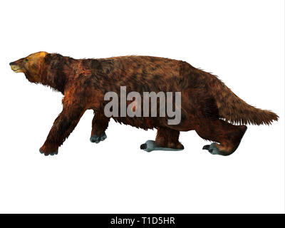Megatherium americanum, extinct genus of elephant-sized ground sloths ...