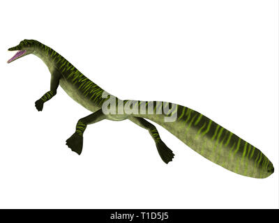 Mesosaurus dinosaur, white background Stock Photo - Alamy