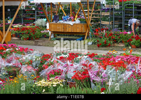 ZAGREB, CROATIA – JUNE 4, 2011: Exhibition sale of flowers, Floraart ...