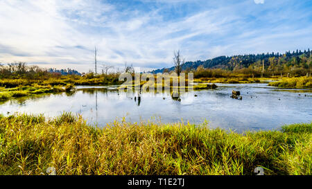 Stave Lake Dam, British Columbia, Canada Stock Photo - Alamy