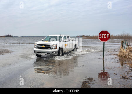 Carmen, Illinois, USA. 25th March, 2019. Water from the Mississippi ...
