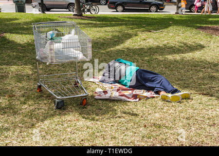 Homeless woman sleeping with shopping cart possessions Santa Monica ...