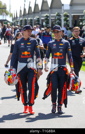 Red Bull Racing drivers Max Verstappen and Yuki Tsunoda on action ...