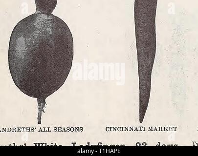 D Landreth Seed Company Stock Photo - Alamy