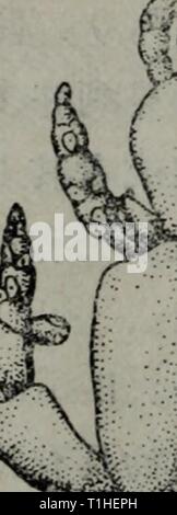 di zhi diao cha shi Stock Photo - Alamy