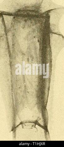 Discovery reports (1956) Discovery reports discoveryreports27inst Year ...