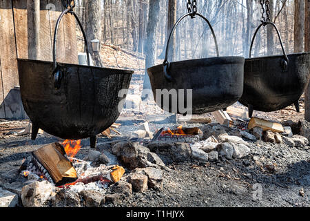 Boiling maple syrup sap on wood fire in sugar bush Ontario Canada Stock ...