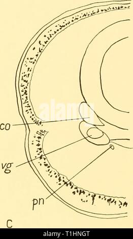 Discovery reports (1934) Discovery reports discoveryreports09inst Year ...
