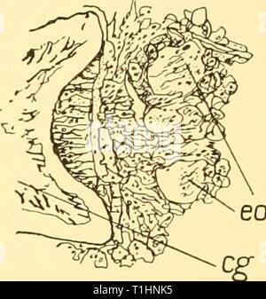 Burger thrown on by hand Stock Photo - Alamy