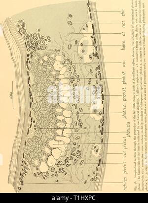 Discovery reports (1941) Discovery reports discoveryreports20inst Year ...