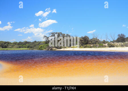 Tea tree lake Stock Photo - Alamy