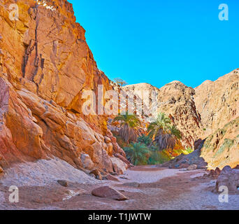 Lush oasis with palm trees and rocky cliffs under a bright blue sky ...