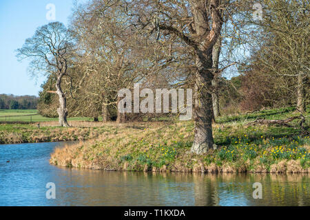 Holkham park lake, Holkham hall in North Norfolk, East Anglia, England ...
