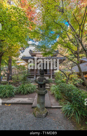Autumn colors and fall foliage at Fugenzan Meigetsu-in Temple. Located ...