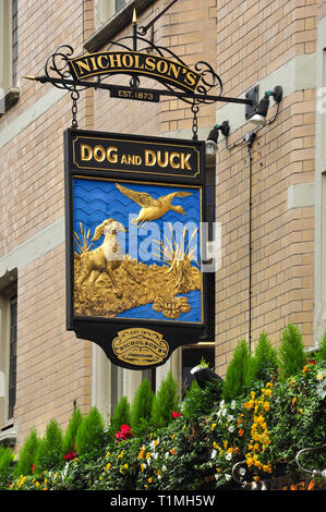 dog and duck pub sign Stock Photo - Alamy