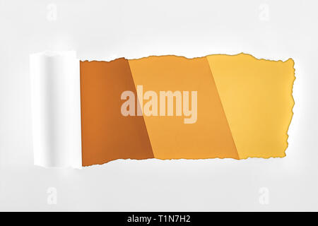 tattered textured white paper with rolled edge on deep orange ...