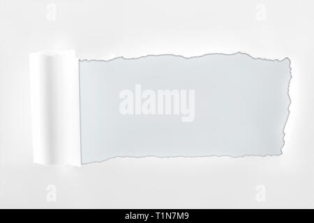 ragged textured white paper with rolled edge on colored background ...